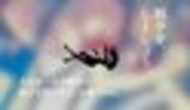 MONOGATARI-DROPS4の画像 - KAI-YOU.net