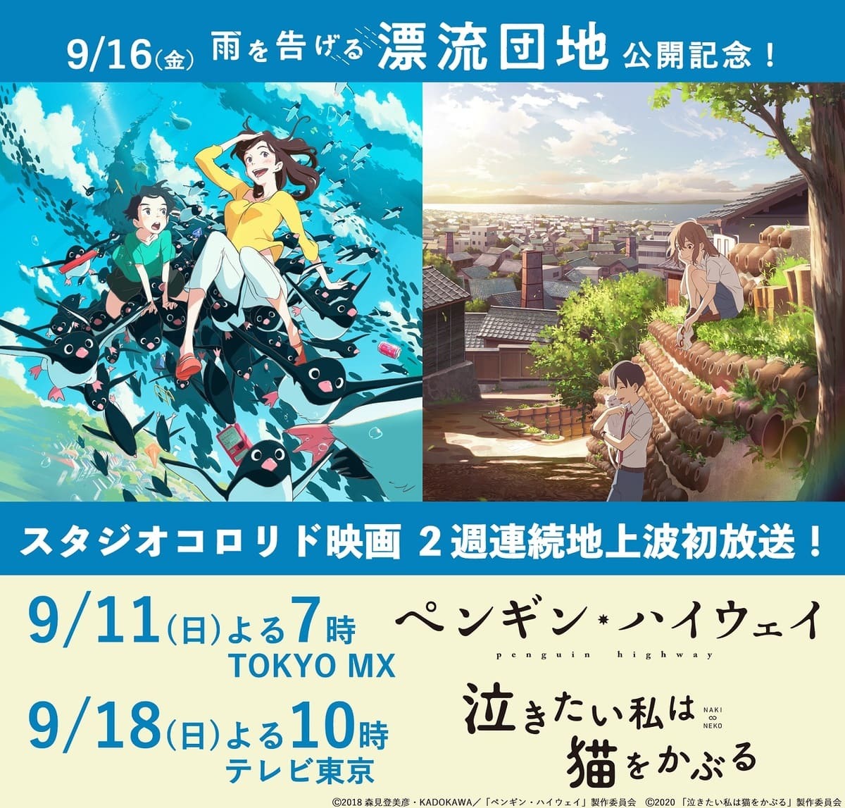 長編アニメーション映画『雨を告げる漂流団地』/9 16(金) Netflix全世界独占配信and日本全国ロードショーの画像 Kai
